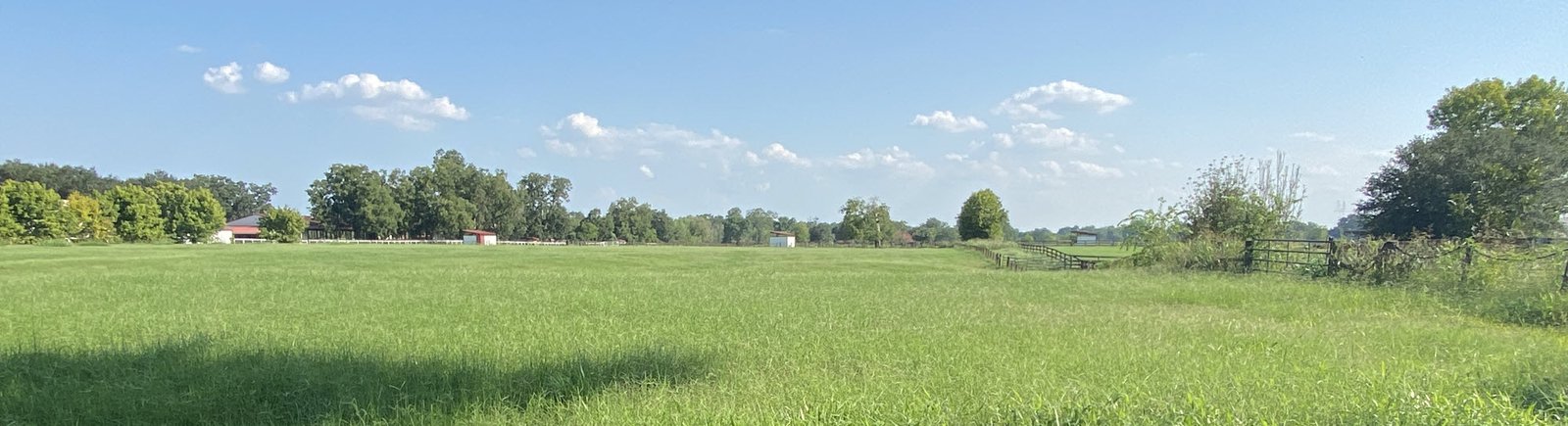 The Tax Matter - SimontonTexas.com